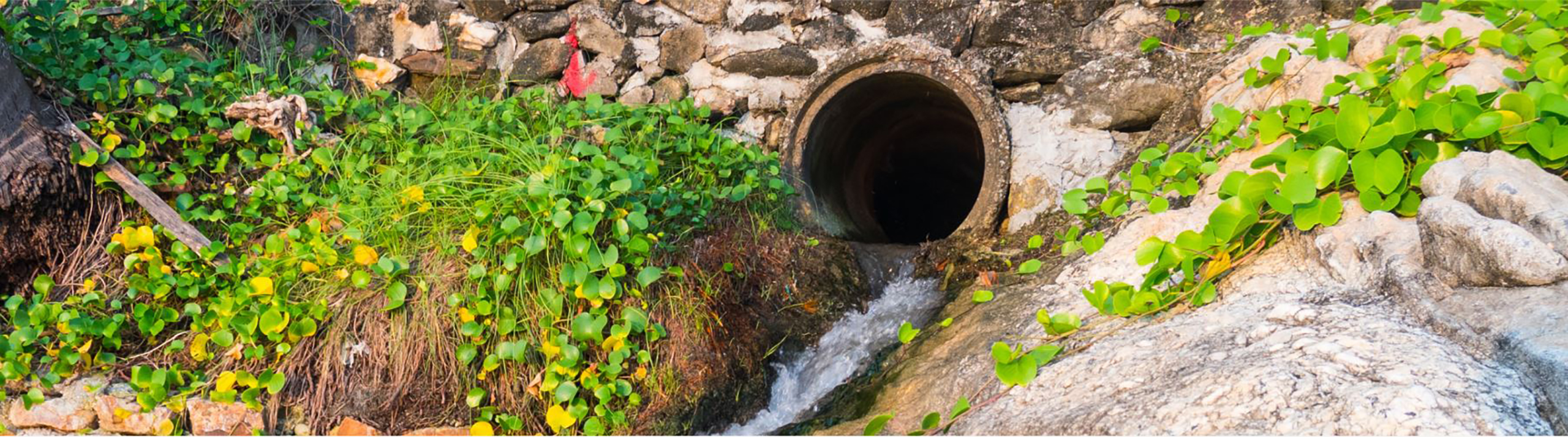 NJDEP| Rebuild by Design Projects and Stormwater Infrastructure Toolkit ...