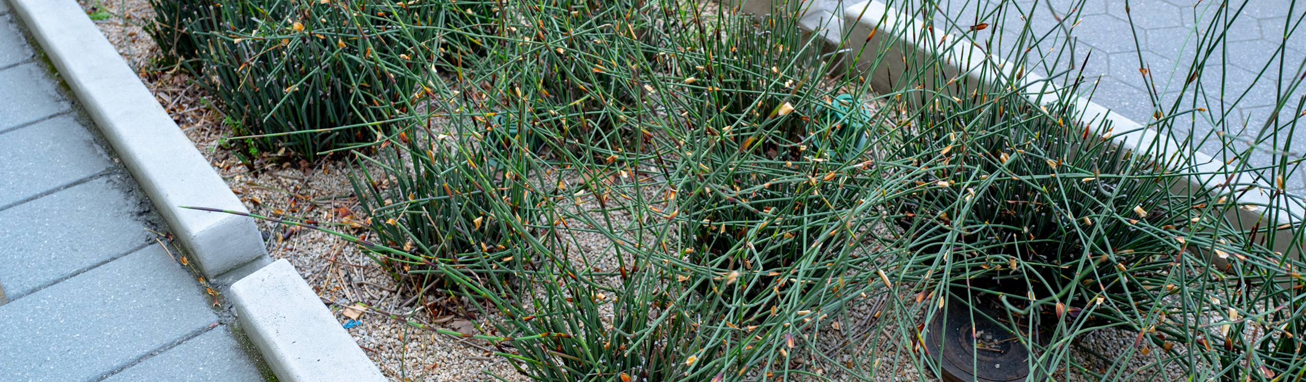 NJDEP| Rebuild by Design Projects and Stormwater Infrastructure Toolkit ...