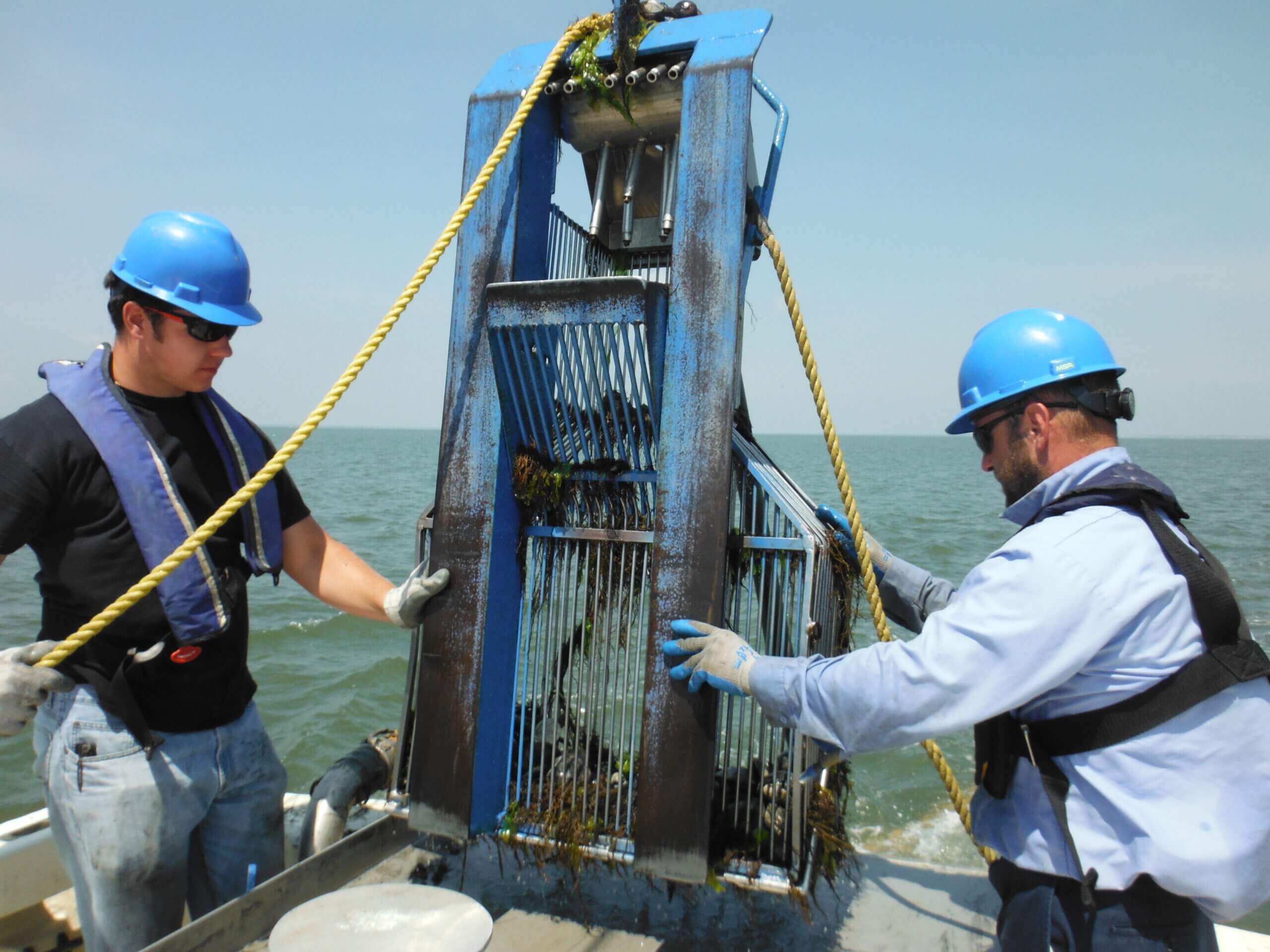 NJDEP| Fish & Wildlife | Inventory of New Jersey’s Estuarine Shellfish ...